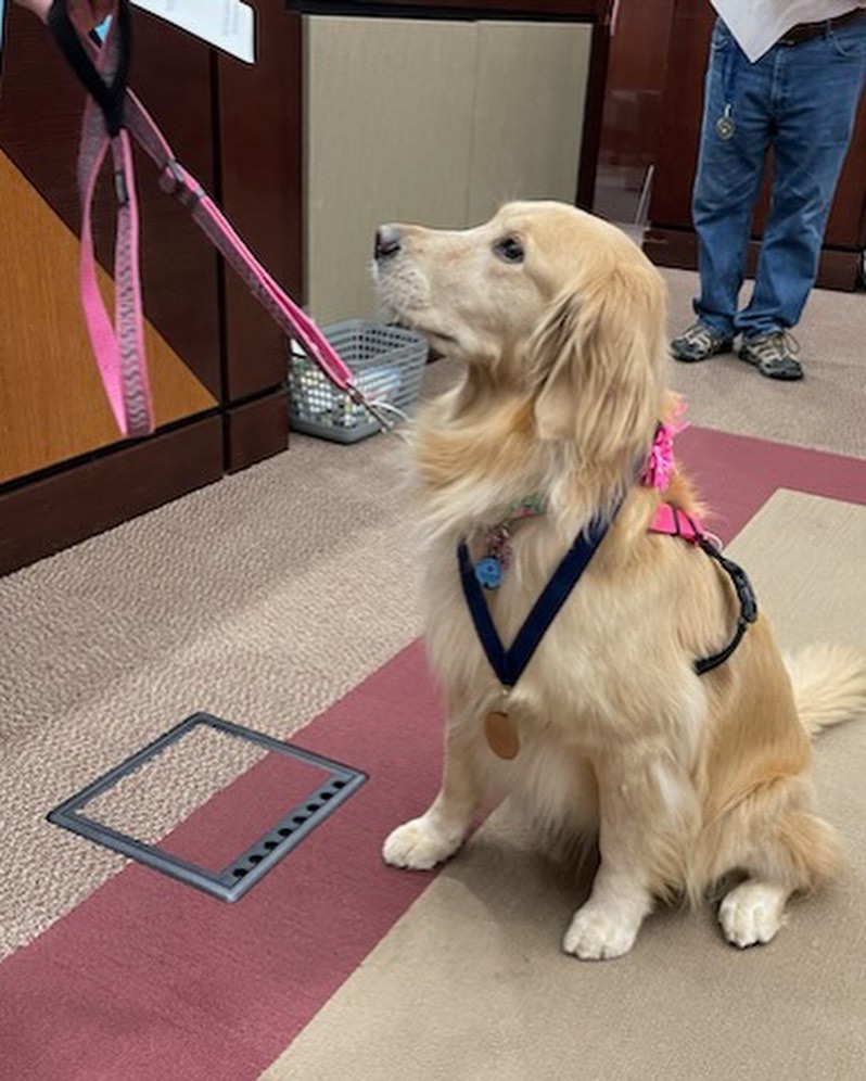 Second Judicial Circuit Celebrates Animal Therapy in the Courts Program ...