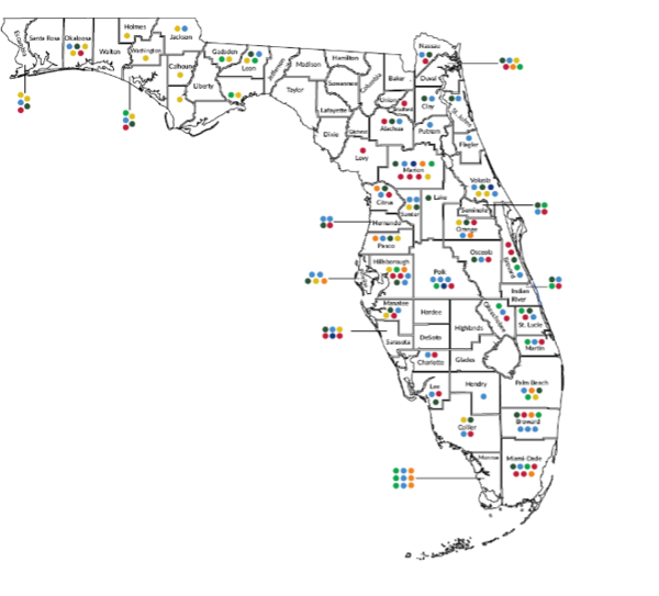 Long Range Issue #2 - Florida Courts